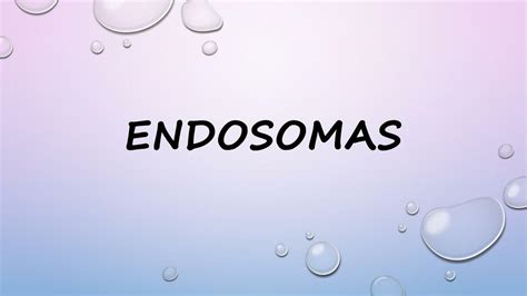 Biología Celular Endosomas Studioaqui Udocz