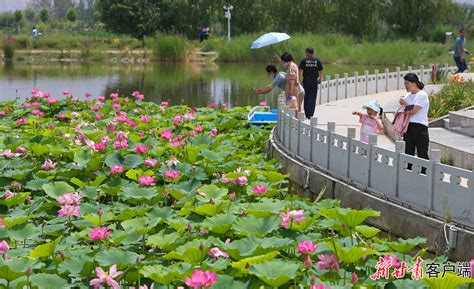 白银黄河水川湿地公园风景如画
