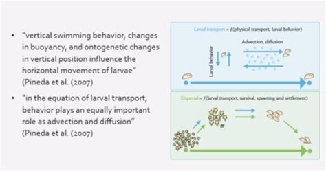 Lecture 22 Diel Vertical Migration Flashcards Quizlet