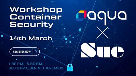 Sue Cloud Native Solutions On Linkedin Container Security Workshop With Aqua Security And Sue