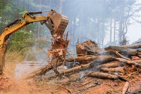 As Part Of Preparation For Construction Of A Residential Complex