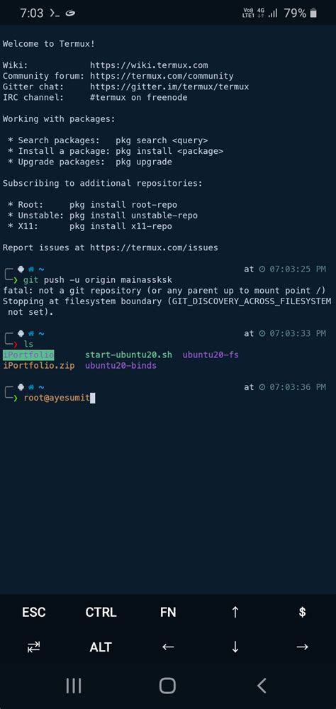 The Customization At Its Best For Me R Termux