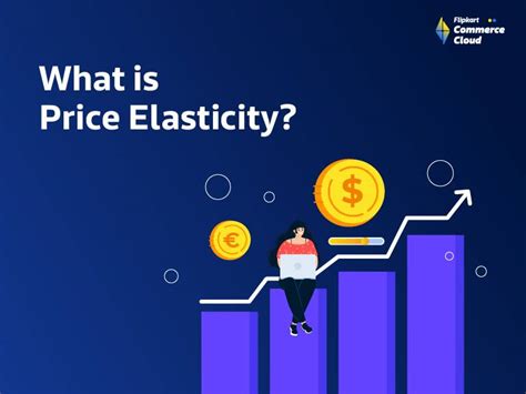 Your Complete Guide To Price Elasticity In 2024
