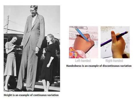 Variation And Evolution Pptx Variation And Evolution Pptx