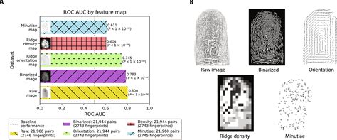 unveiling intra person fingerprint similarity via deep contrastive learning science advances