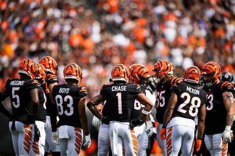Los Angeles Rams Vs Cincinnati Bengals Prediction Nfl Picks Odds