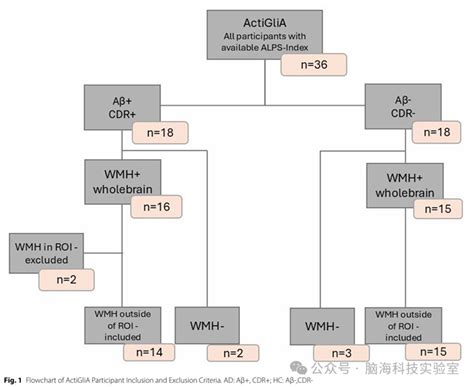 Alzheimers Res Ther：dti Alps指数！破解阿尔茨海默病淋巴功能障碍的生物标志物！ Csdn博客