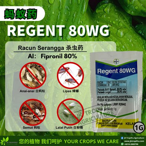 Regent 80 Wg 1gm Fipronil Racun Anai Anaisemutlipaslalat Putih