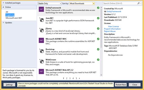 Reference How To Access The Nuget Package Manager In