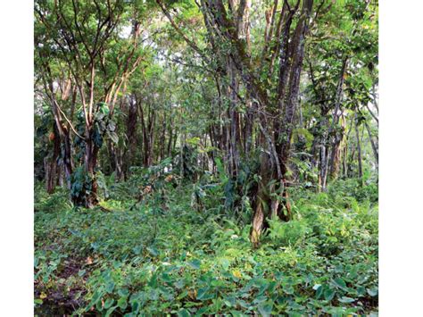 Biodiversité Le Gouvernement Dévoile Sa Stratégie
