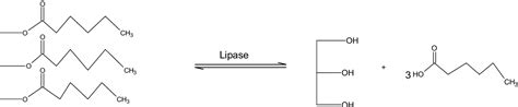 Figure 1 From Lipase Production In Solid State Fermentation Ssf