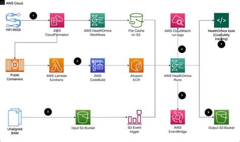 Benchmarking Pacbio Whole Genome Sequencing Variant Pipeline Analysis With Aws Healthomics