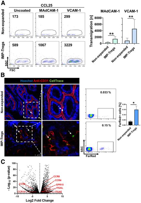 Enhanced Migratory Features Of Imp Tregs A Transmigration Assays