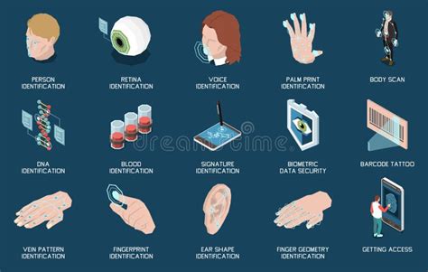Biometric Authentication Icon Set Stock Vector Illustration Of