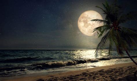 Fenomena Langit Di Bulan November Ini Jangan Sampai Terlewatkan KASKUS