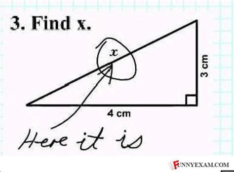 GCSE Results Day Take Comfort In These Funny Exam Answer Fails