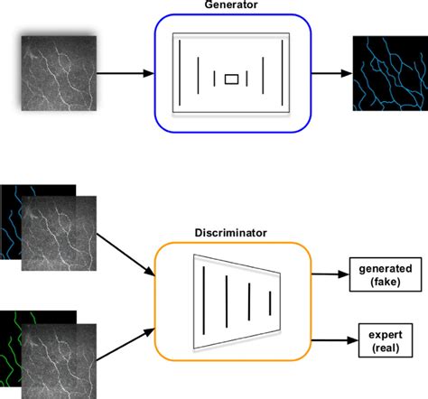 General Conditional Generative Adversarial Network Structure Used In Download Scientific