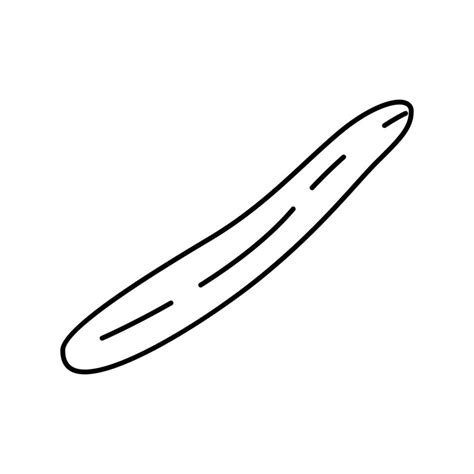 English Cucumber Line Icon Vector Illustration 18998607 Vector Art At