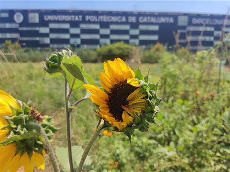 Eeabb Upc Soc Eeabb • Instagram Photos And Videos