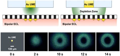 Electrochemiluminescence Ecl Based Electrochemical Imaging Using A