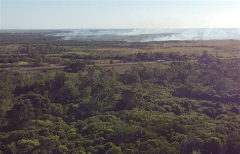 Caracterizaron La Frecuencia Y Distribución De Incendios En Corrientes