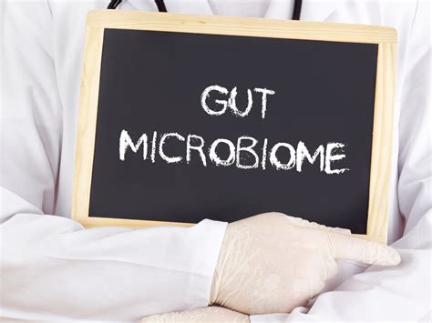 Multiple Sclerosis Link To Gut Microbiome Surfacing In More Research