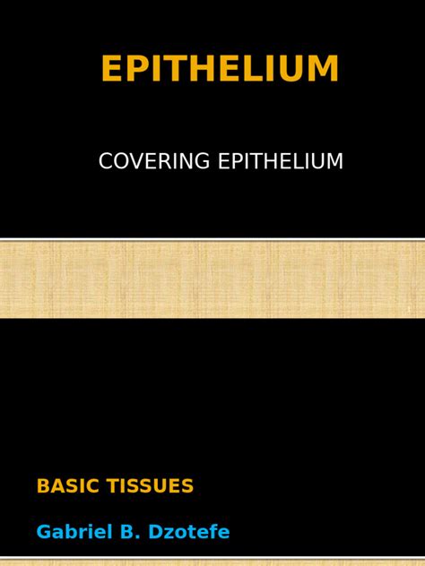 Basic Tissues Pdf
