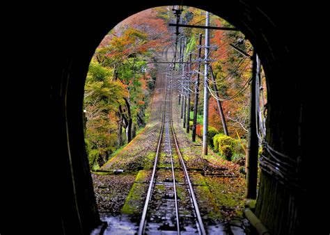 暗いトンネルを過ぎるとそこは美しい秋色だった GANREF