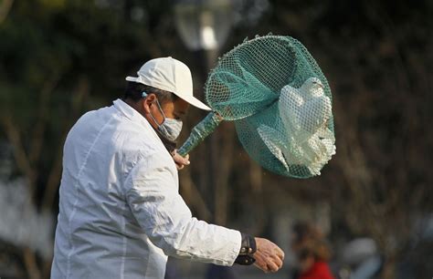 Chinese Authorities Kill 20000 Birds As Avian Flu Toll Rises To 6 Cnn