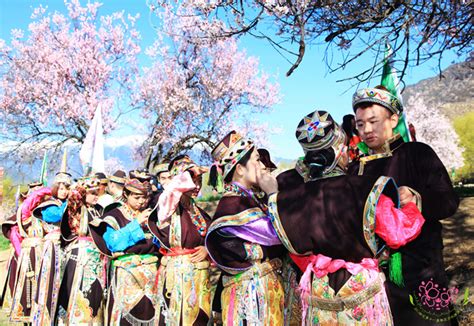 西藏林芝桃花旅游文化节中国网