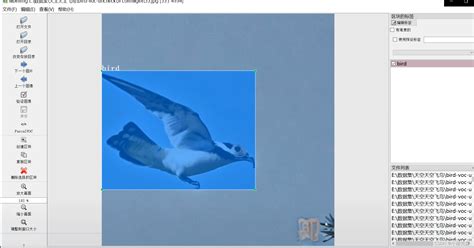 天空飞鸟数据集：pascalvoc格式标注教程 Csdn博客