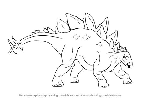 Stegosaurus Drawing At Getdrawings Free Download