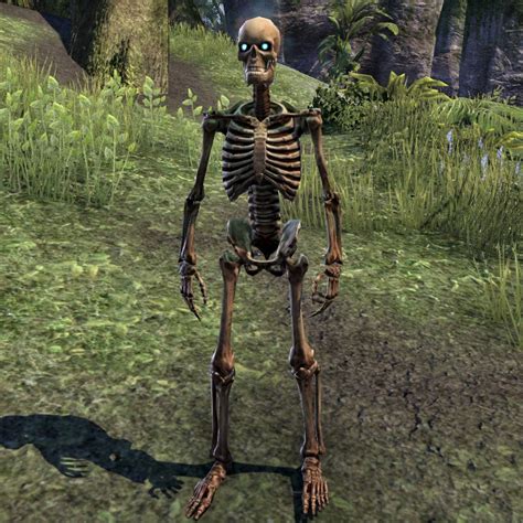 Could We Please Get A New Skeleton Model — Elder Scrolls Online