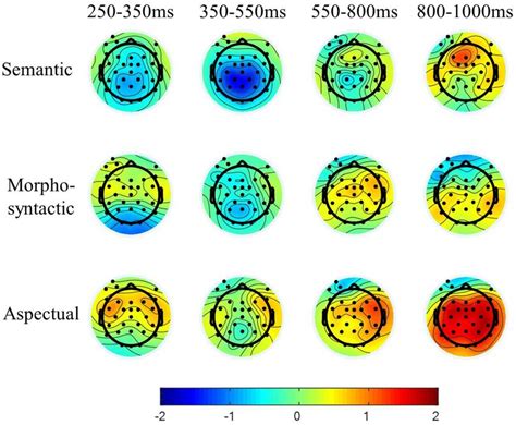 Scalp Topography For The Effect Of Semantic Morpho Syntactic And Download Scientific Diagram