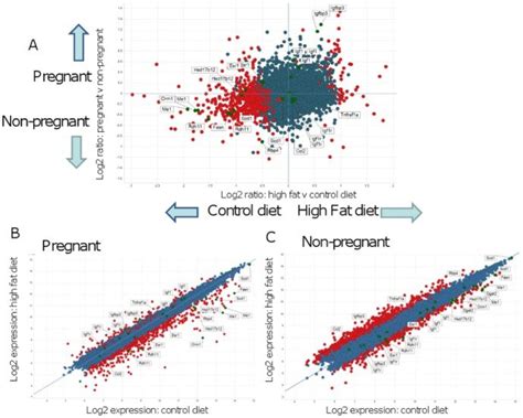 A Log Base 2 Ratios Of Gene Expression Intensities In Pregnant And Download Scientific
