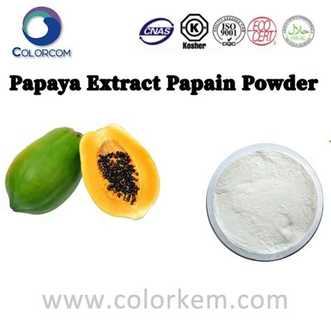 Papaya Extract Papain Powder Plant And Herbal Extract Free Sample China Papaya Extract And