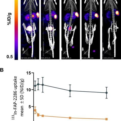 Fap 2286 Structure A And In Vitro Characterization Of Fap 2286 And