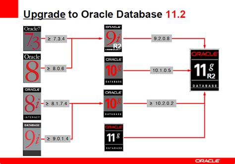 oracle startup