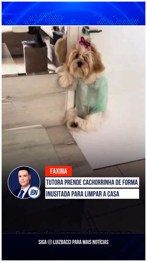 Bacci Notícias Bn O Influenciador Felipe Amorim Conhecido Por