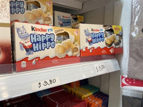 싱가포르 3박5일 자유여행 Day4일 1아이온오차로드 해피히포 헤이즐넛바샤커피푸드코트 네이버 블로그