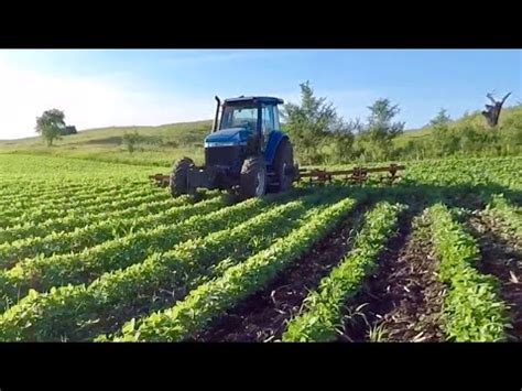 Cultivating Organic Soybeans And Getting The Milk Tank Fixed On Again
