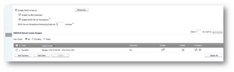 What Are Different Options To Assign Ip Address To The Global Vpn