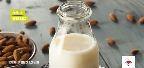Leites Vegetais Conheça Os Benefícios E Aprenda A Fazer Em Casa