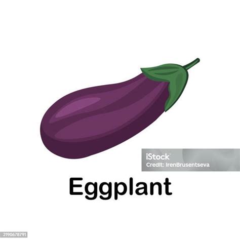 가지 가지 야채 이미지가 있는 어린이를 위한 교육 카드 흰색 배경에 고립 된 벡터 그림 0명에 대한 스톡 벡터 아트 및 기타 이미지 Istock