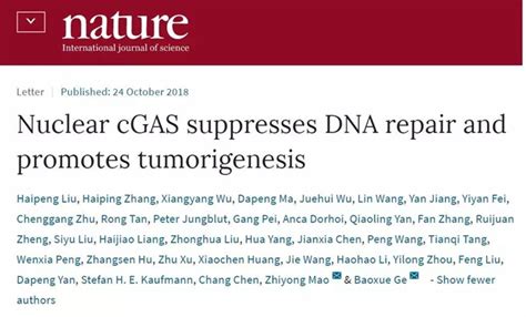 戈宝学毛志勇合作组揭示cgas对dna修复与肿瘤调控的新作用——专家点评 X Mol资讯
