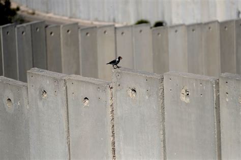 A Roadmap To Lasting Peace Between Israelis And Palestinians