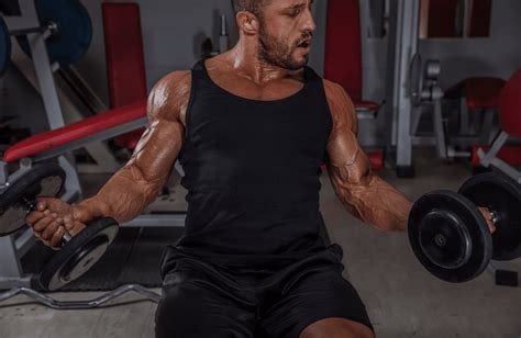 Les Meilleurs Exercices Pour Biceps Avec Halt Re S
