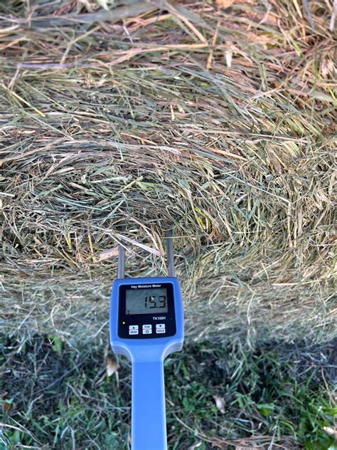 Hay For Sale Livestock Edmonton Kijiji