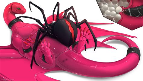 Rule 34 Arachnid Arthropod Arthropod Abdomen Genitalia Arthropod