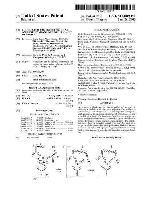 Us6511809method For The Detection Of An Analyte By Means Of A Nucleic Acid Reporter Pdf Dna